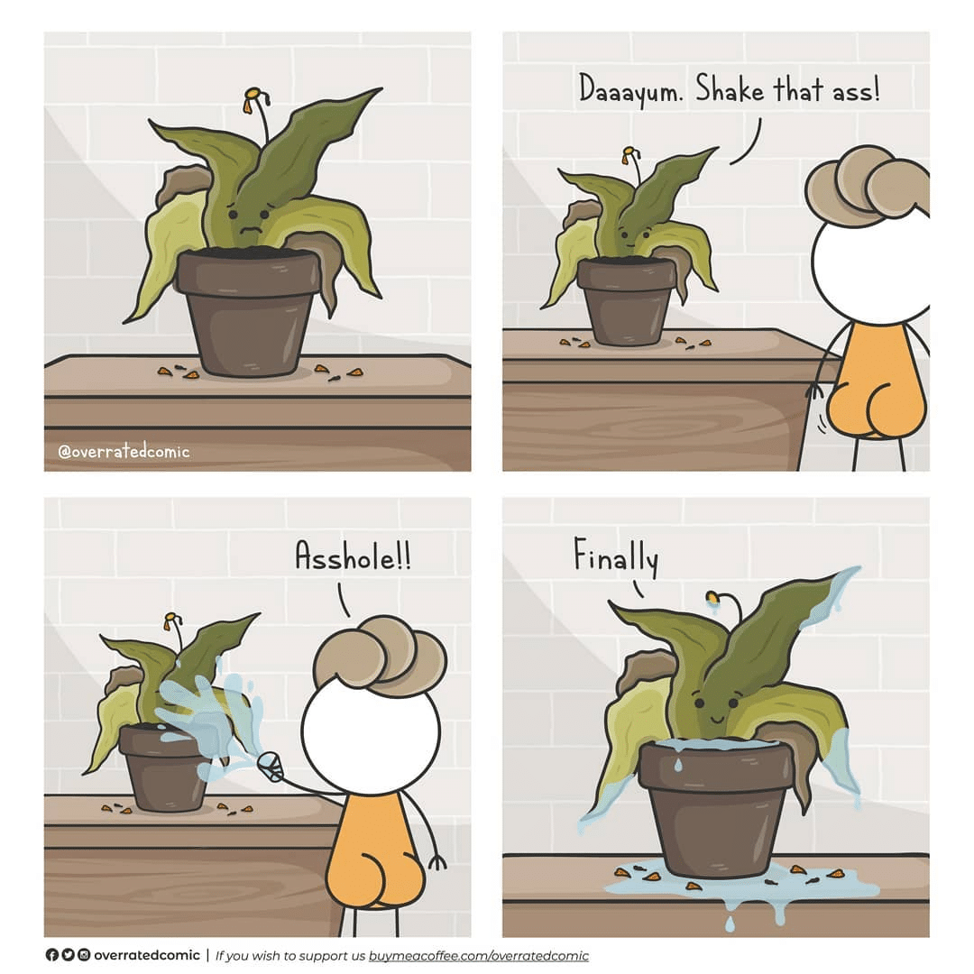 Two Friends Make Funny Comics About Random Situations (20 Comics ...