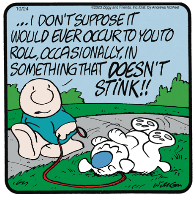 20 Ziggy Comics: A Heartfelt Journey Through Life's Ups and Downs ...