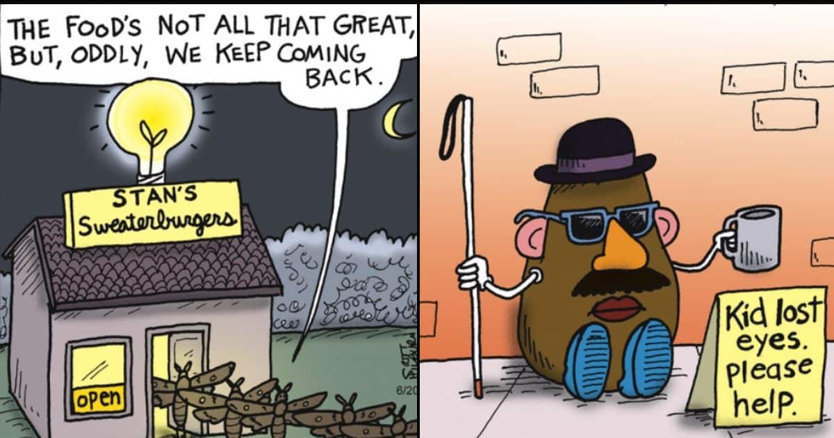 20 Argyle Sweater Comics Guaranteed to Brighten Your Day with Laughter ...