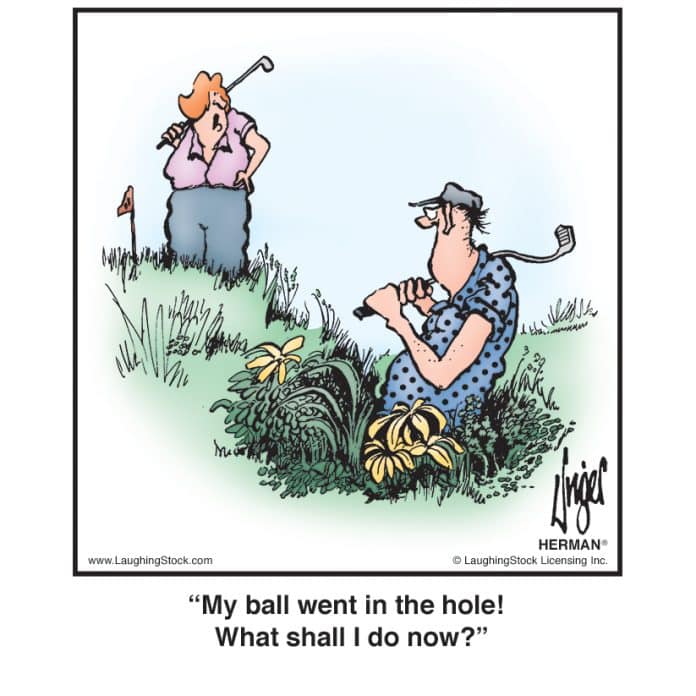 20 Herman Comics That Make Everyday Life Hilarious | Comics To Read