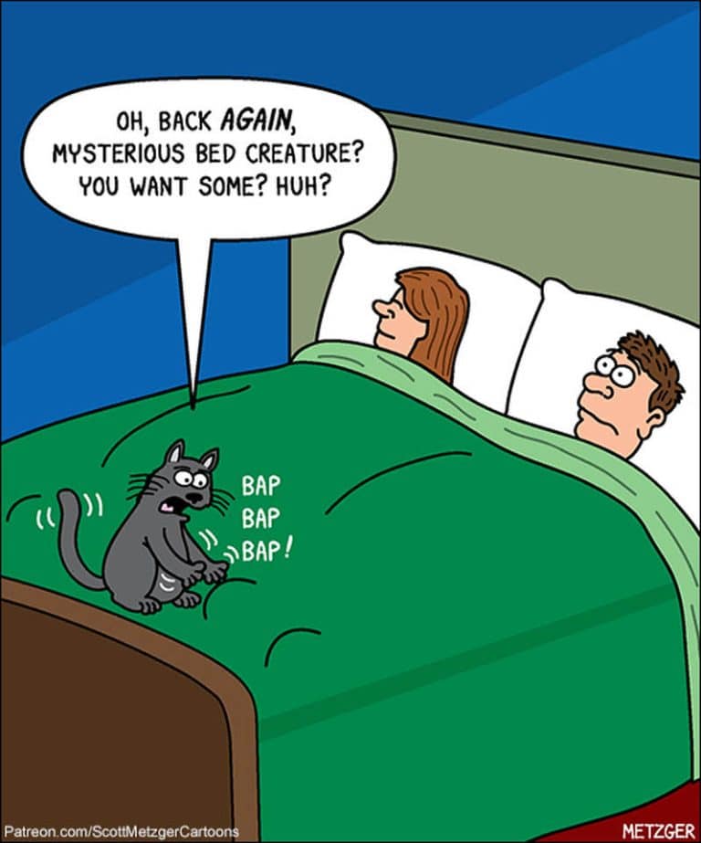 Everyday Absurdity Unleashed: The Wit and Wisdom of Scott Metzger ...