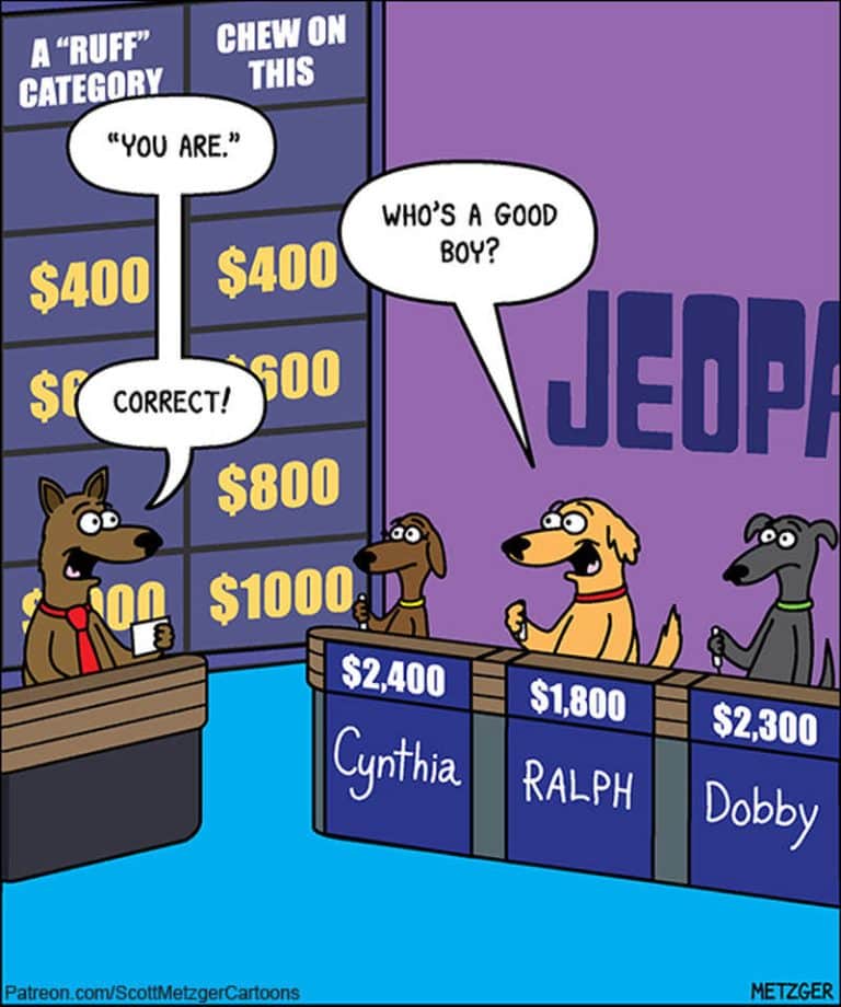 20 Funny Cat Comics by Scott Metzger to Bring Tears of Laughter to Cat ...