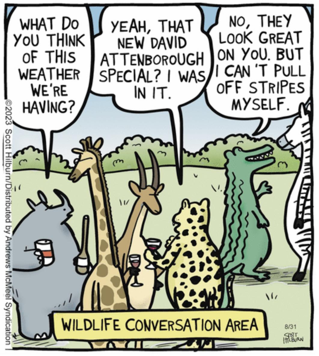 The Argyle Sweater 20 Comics: A Laughter Infusion for Your Day.(20 New ...
