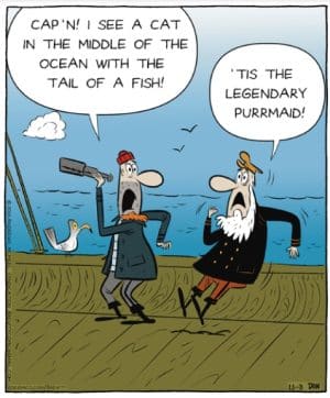 20 Brevity Comics Witty Wisdom in Few Words | Comics To Read