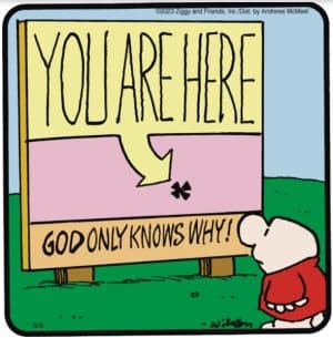 20 Ziggy Comics to Give Your Day a Dose of Laughter | Comics To Read