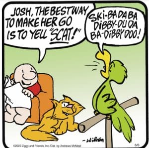 20 Ziggy Comics to Give Your Day a Dose of Laughter | Comics To Read