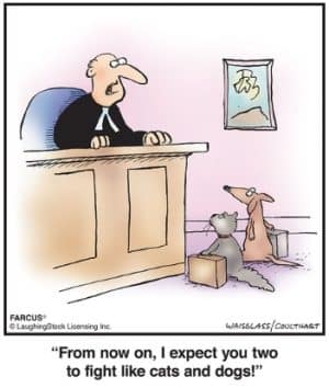 20 Hilariously Entertaining Comics to Brighten Your Day | Comics To Read