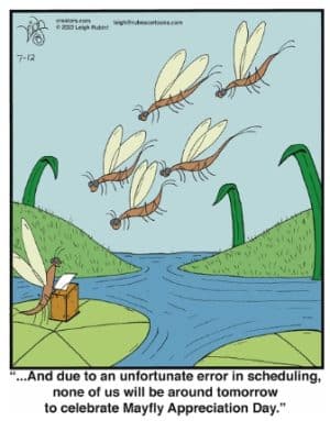 A Collection of 20 Side-Splitting Comics for Your Amusement - Comics To ...