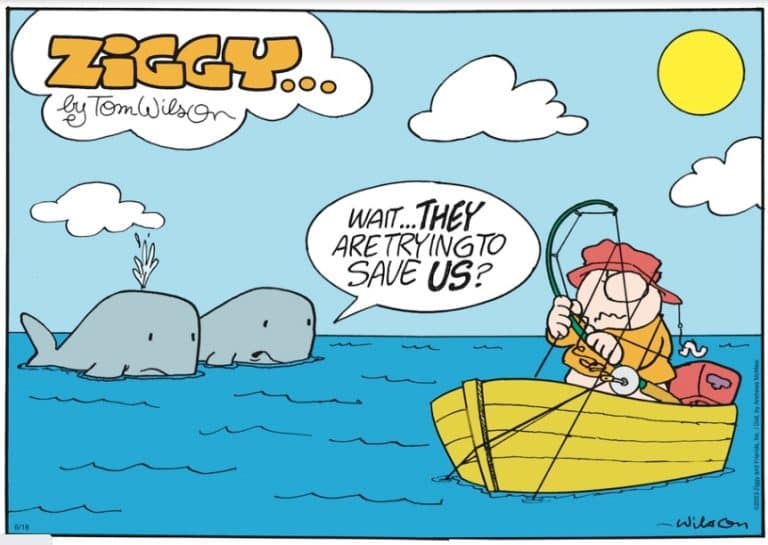 20 Ziggy Comics: A Uplifting Beacon Across Generations | Comics To Read