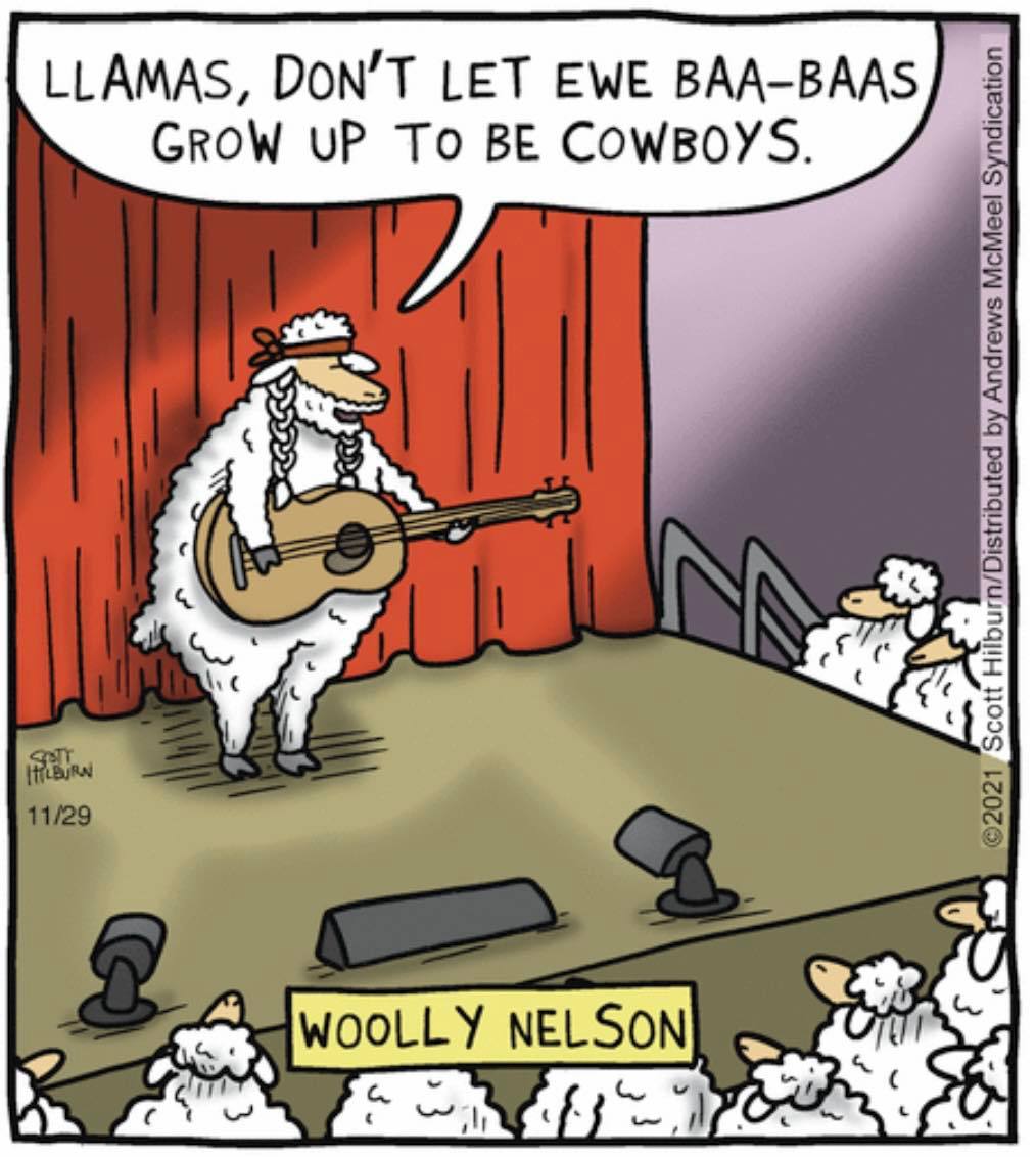 20 Witty Argyle Sweater Comics That Will Make You Smile | Comics To Read