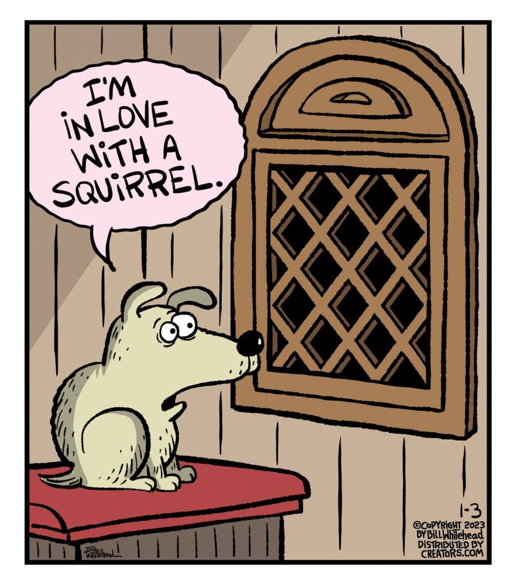 20 Entertaining Comics That Will Make Your Day Brighter | Comics To Read