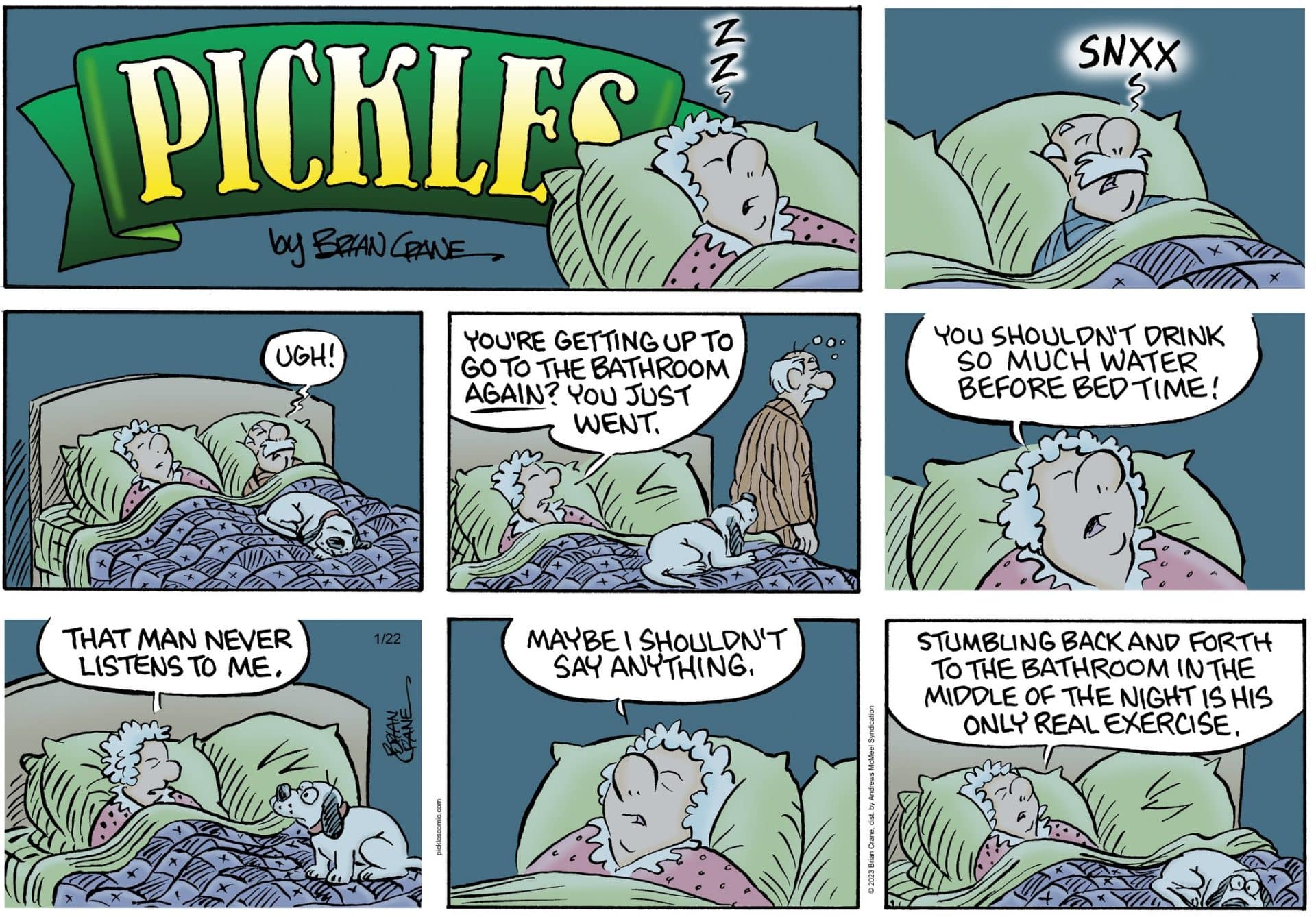 20 Funniest Pickles Comics That Will Make You Laugh at Everyday Life ...