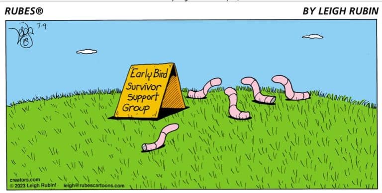 Exploring the Quirky World of Rubes Comics. (20 New Comics) | Comics To ...