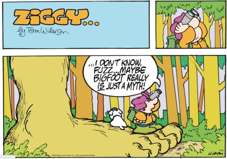 20+ Ziggy Comics A Funny and Heartwarming Look at Life's Little ...