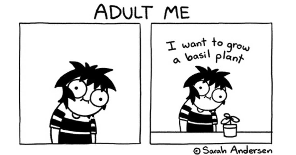 20 Latest Comics by Sarah Andersen That Every Introvert Will Relate To ...