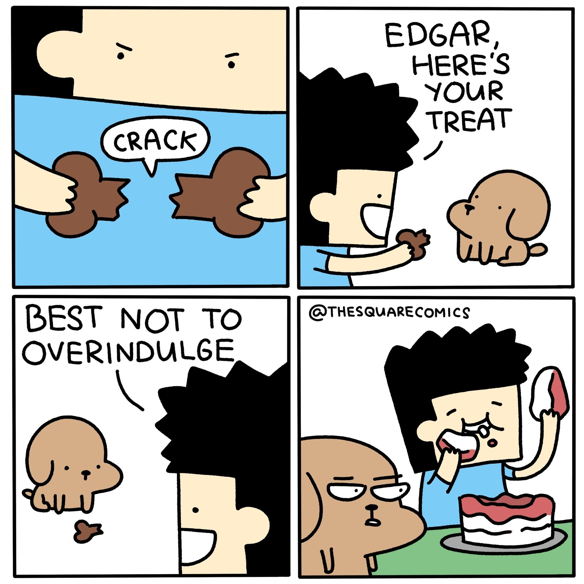 20 The Square Comics Deal with Ordinary Circumstances and Observations ...