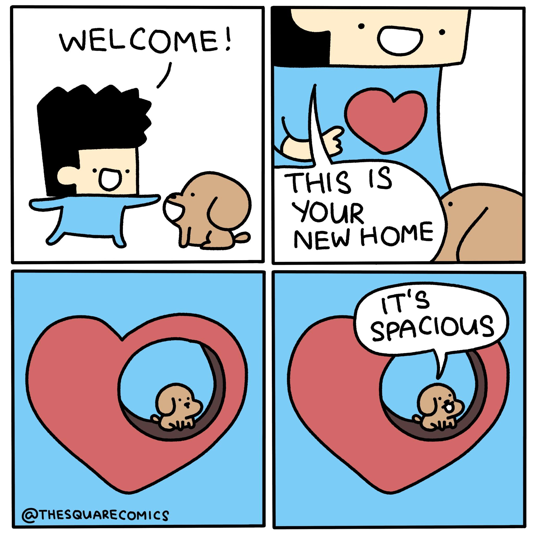 20 The Square Comics Deal with Ordinary Circumstances and Observations ...