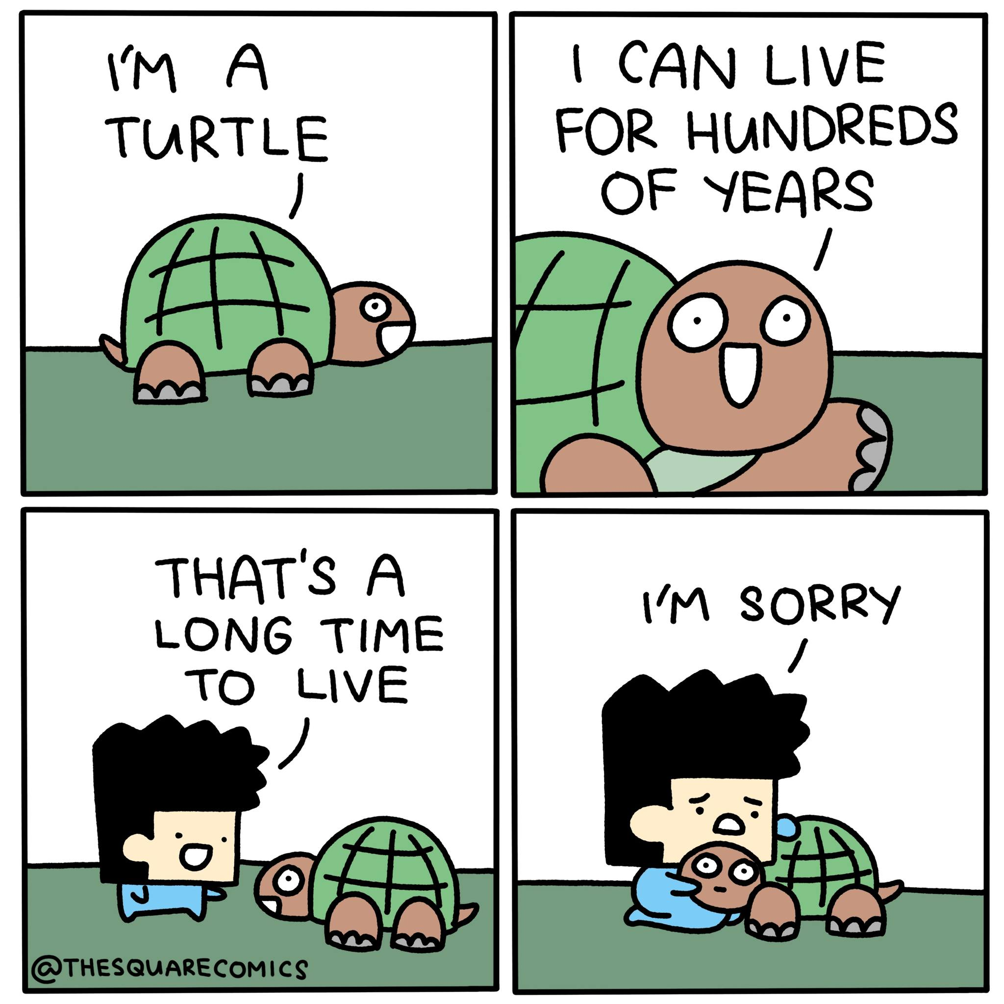 20 The Square Comics Deal with Ordinary Circumstances and Observations | Comics To Read