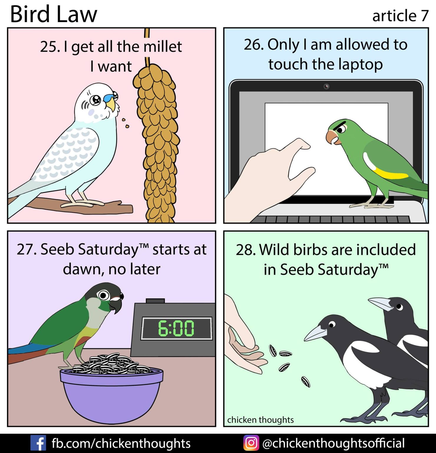 20 Comics About Birds That Will Help To Make Your Day Great (By Chicken ...