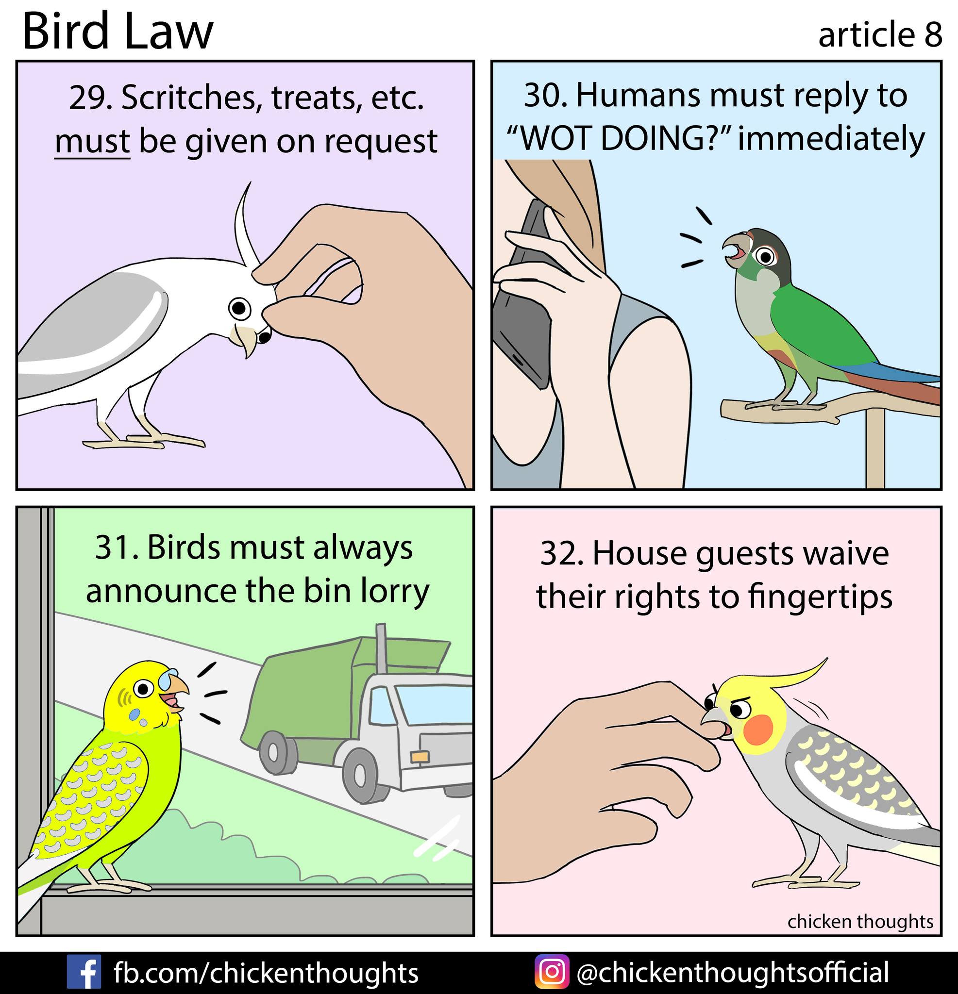 20 Comics About Birds That Will Help To Make Your Day Great (By Chicken ...