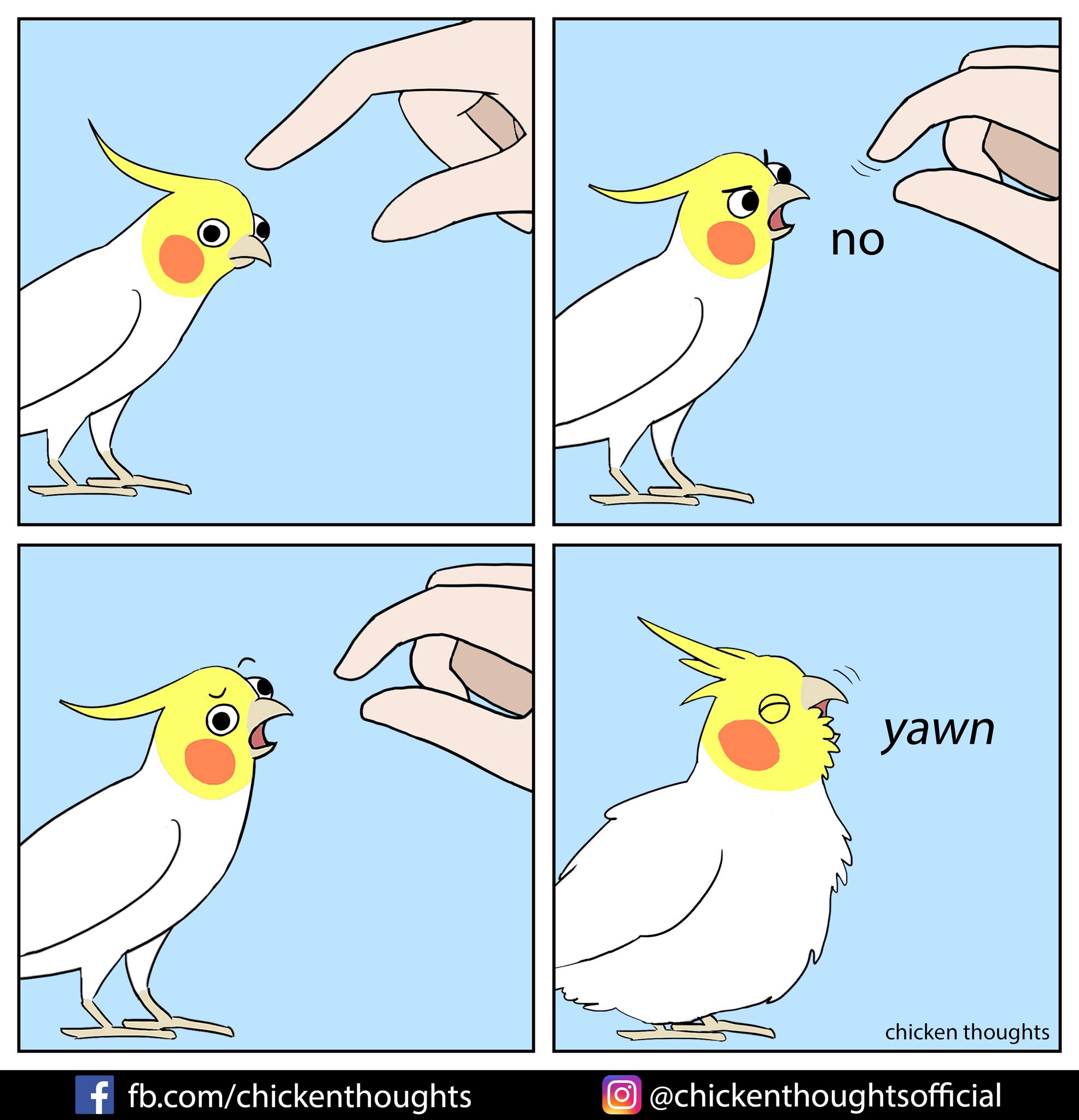 20 Comics About Birds That Will Help To Make Your Day Great (By Chicken ...