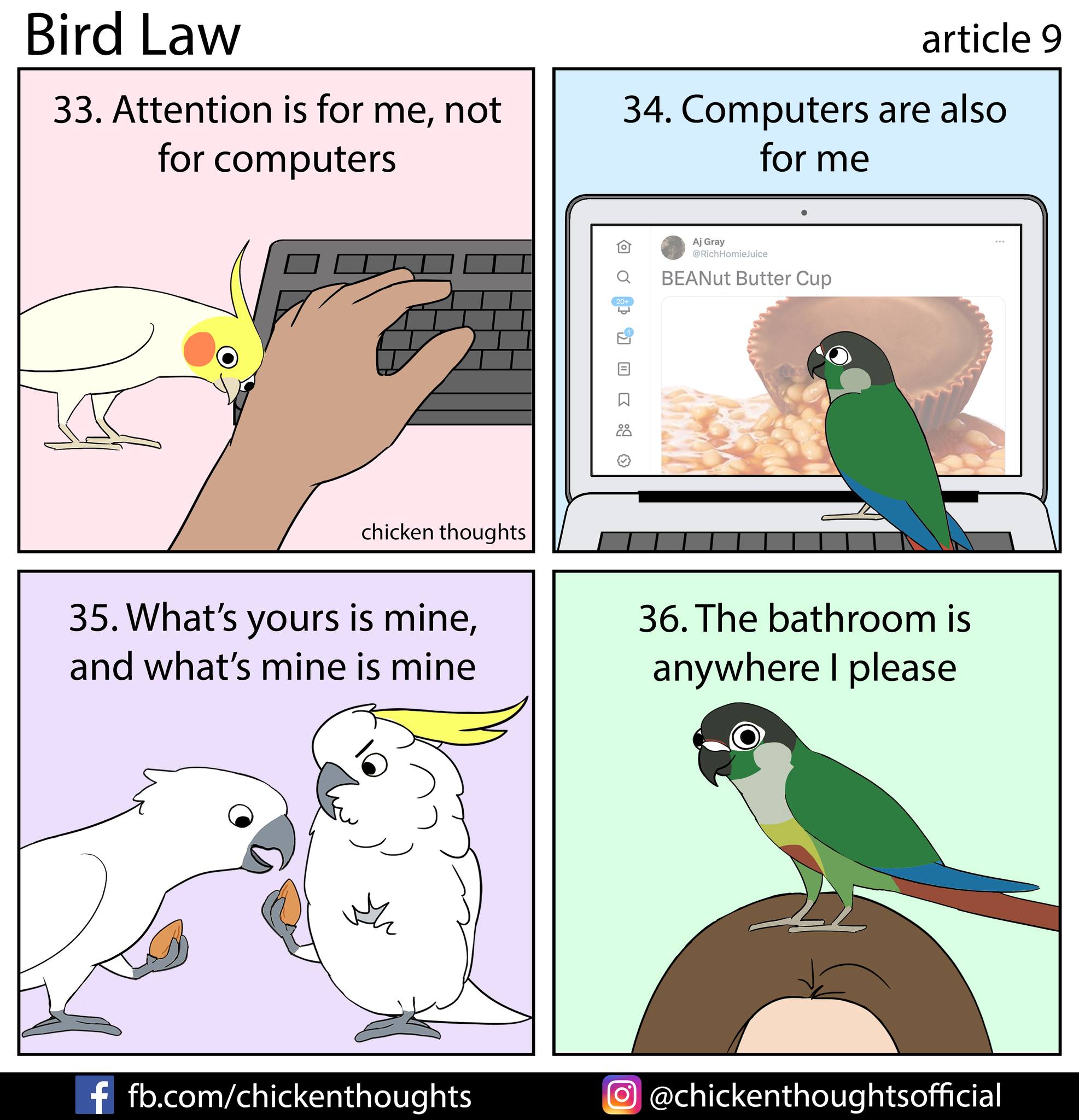 20 Comics About Birds That Will Help To Make Your Day Great (By Chicken ...