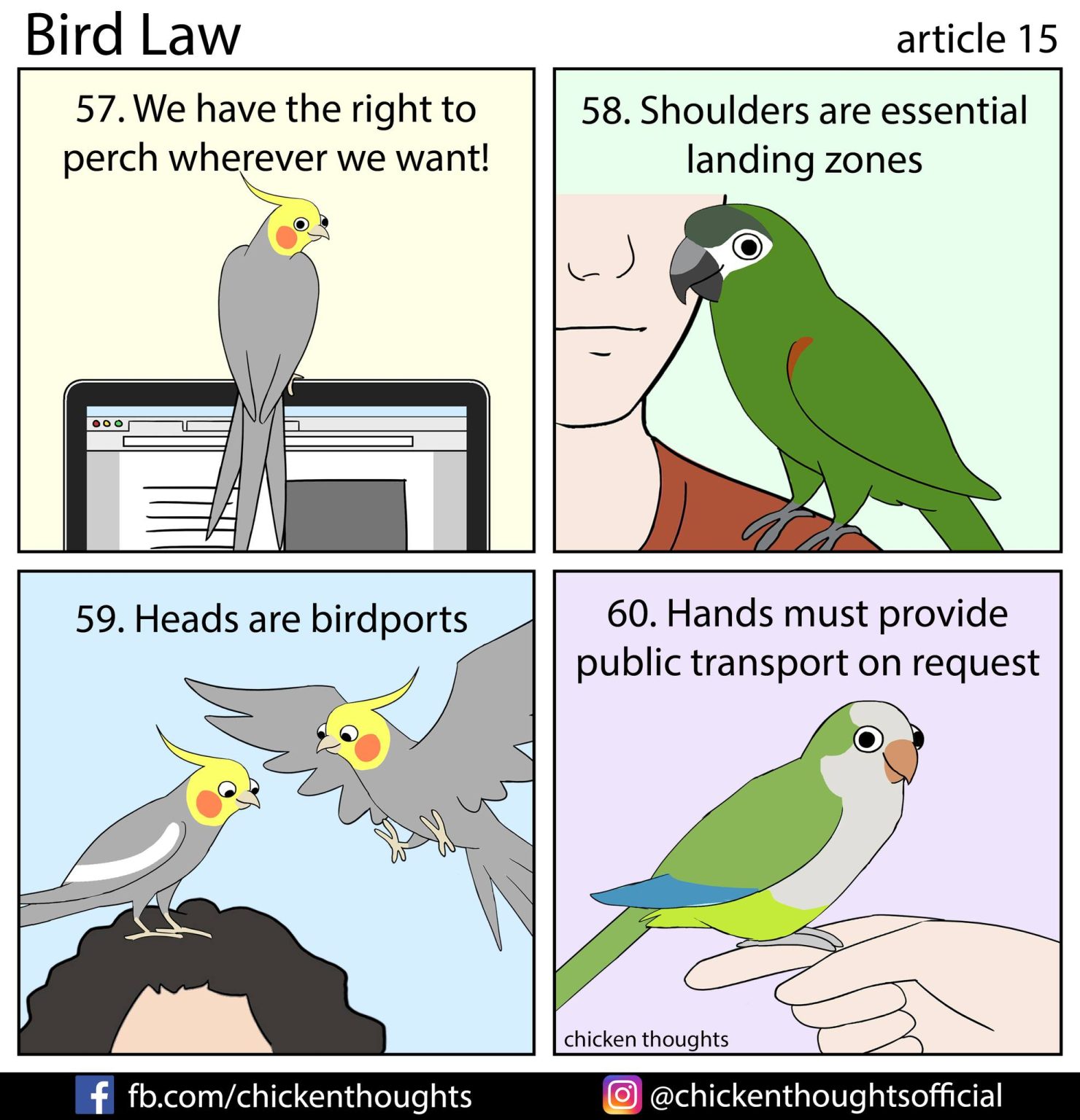 20 Comics About Birds That Will Help To Make Your Day Great (By Chicken ...