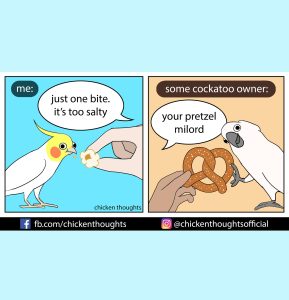 20 Comics About Birds That Will Help To Make Your Day Great (By Chicken ...