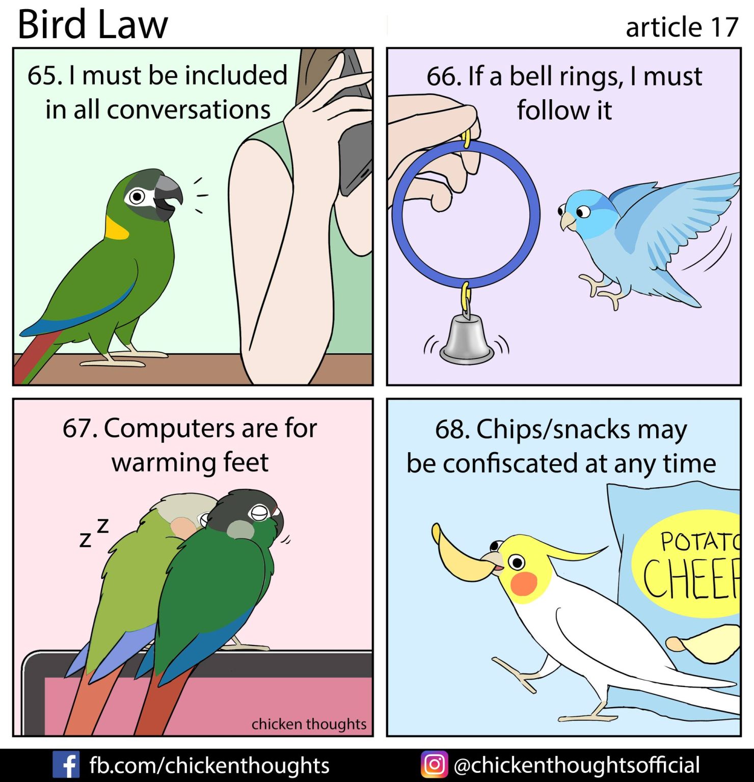 20 Comics About Birds That Will Help To Make Your Day Great (By Chicken ...