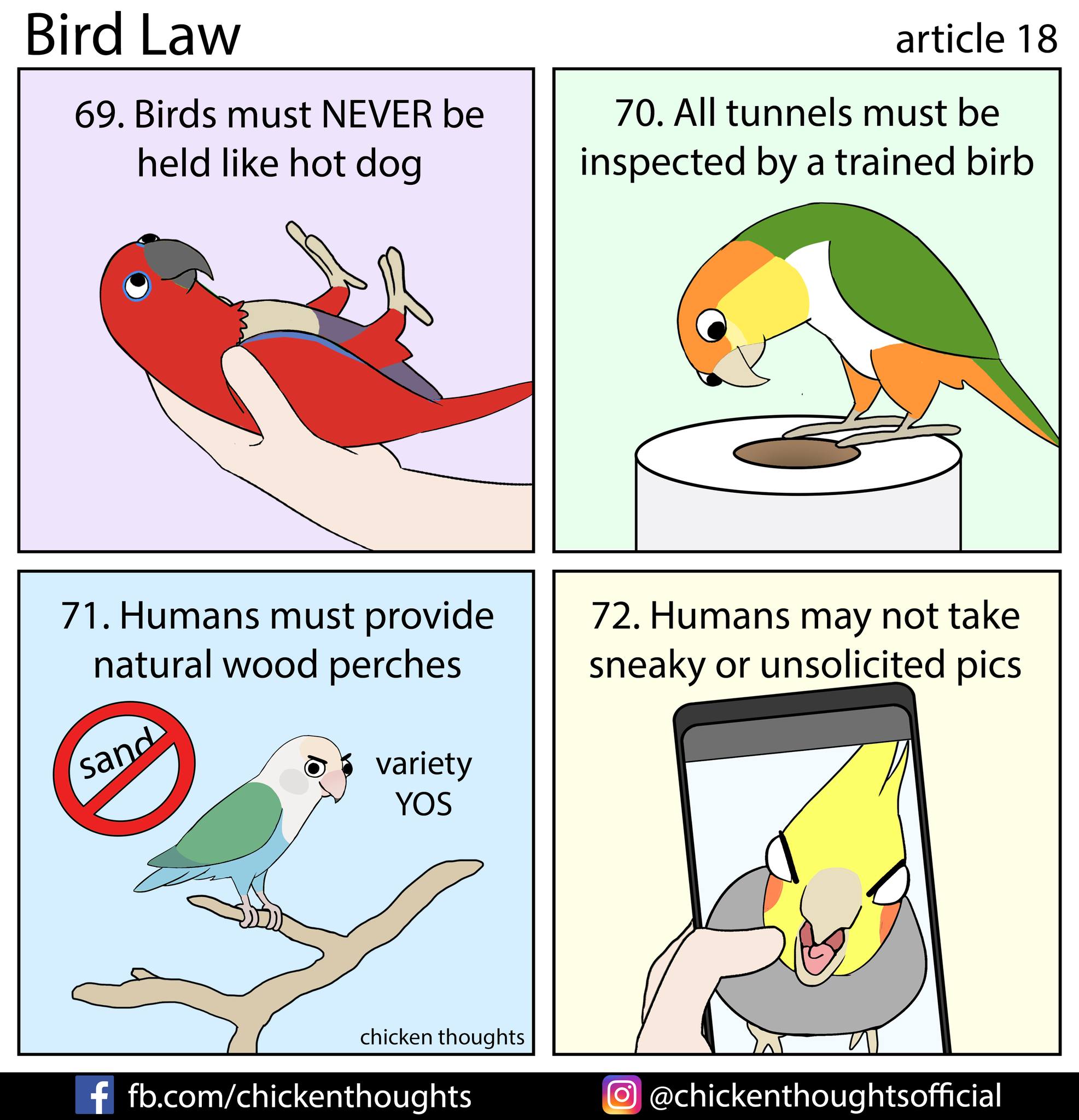 20 Comics About Birds That Will Help To Make Your Day Great (By Chicken Thoughts) | Comics To Read