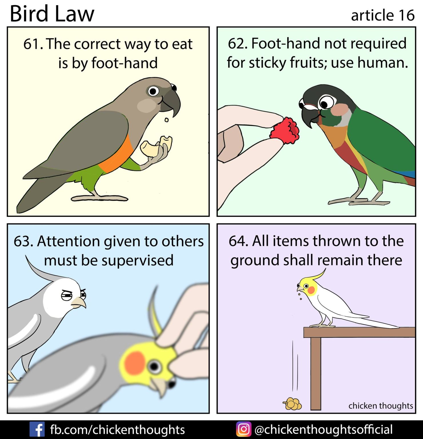 20 Comics About Birds That Will Help To Make Your Day Great (By Chicken ...