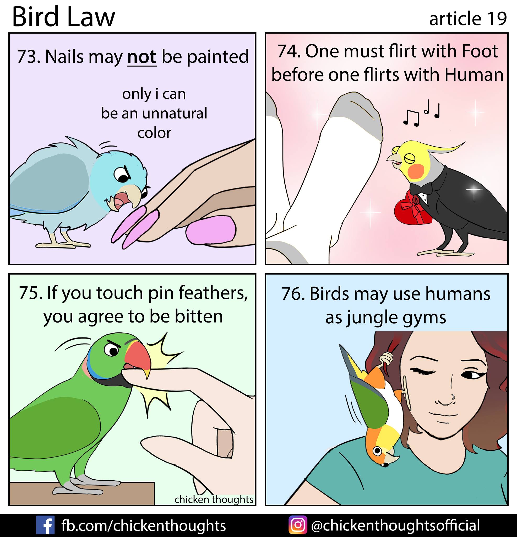 20 Comics About Birds That Will Help To Make Your Day Great (By Chicken ...