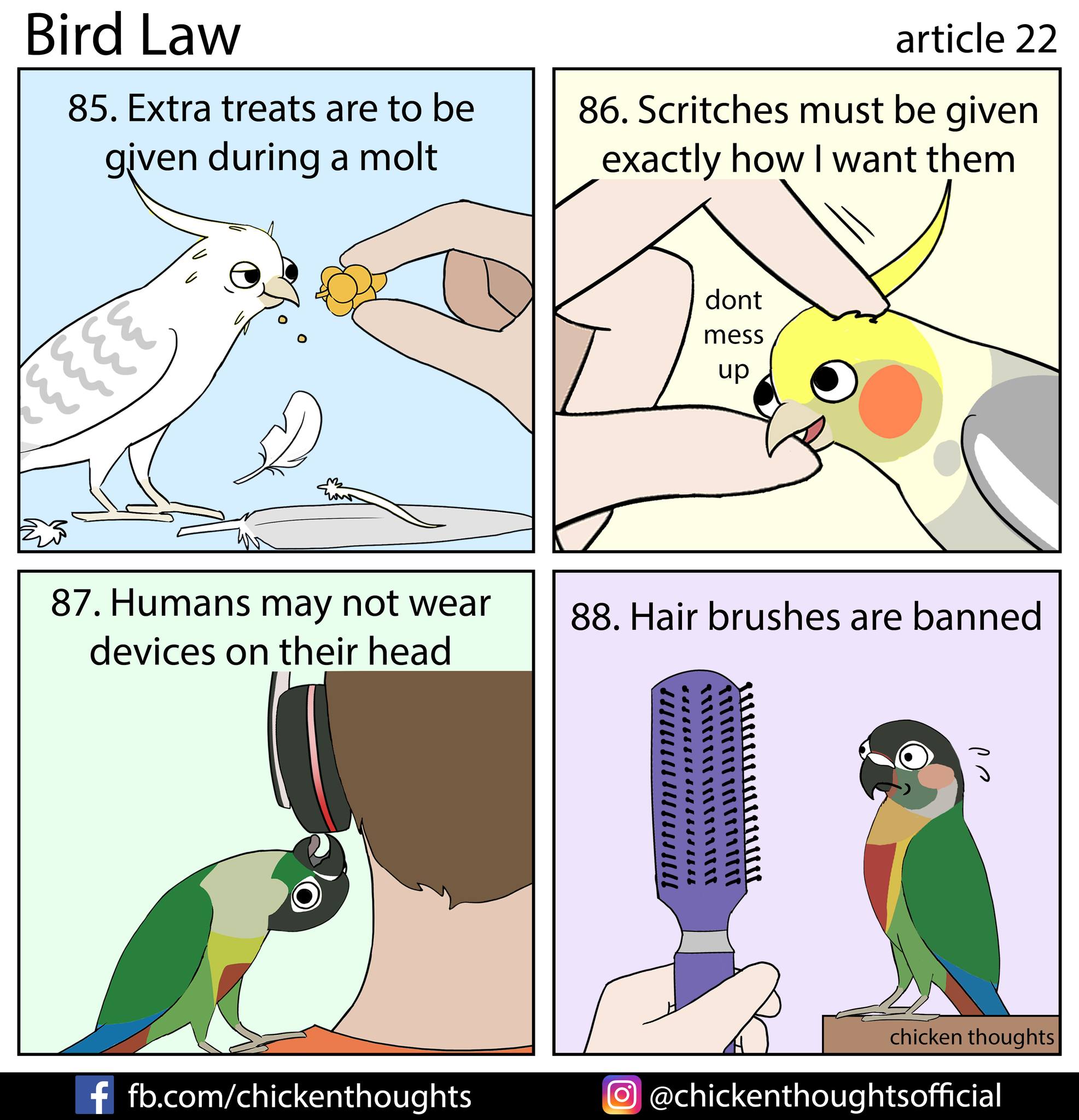 20 Comics About Birds That Will Help To Make Your Day Great (By Chicken ...