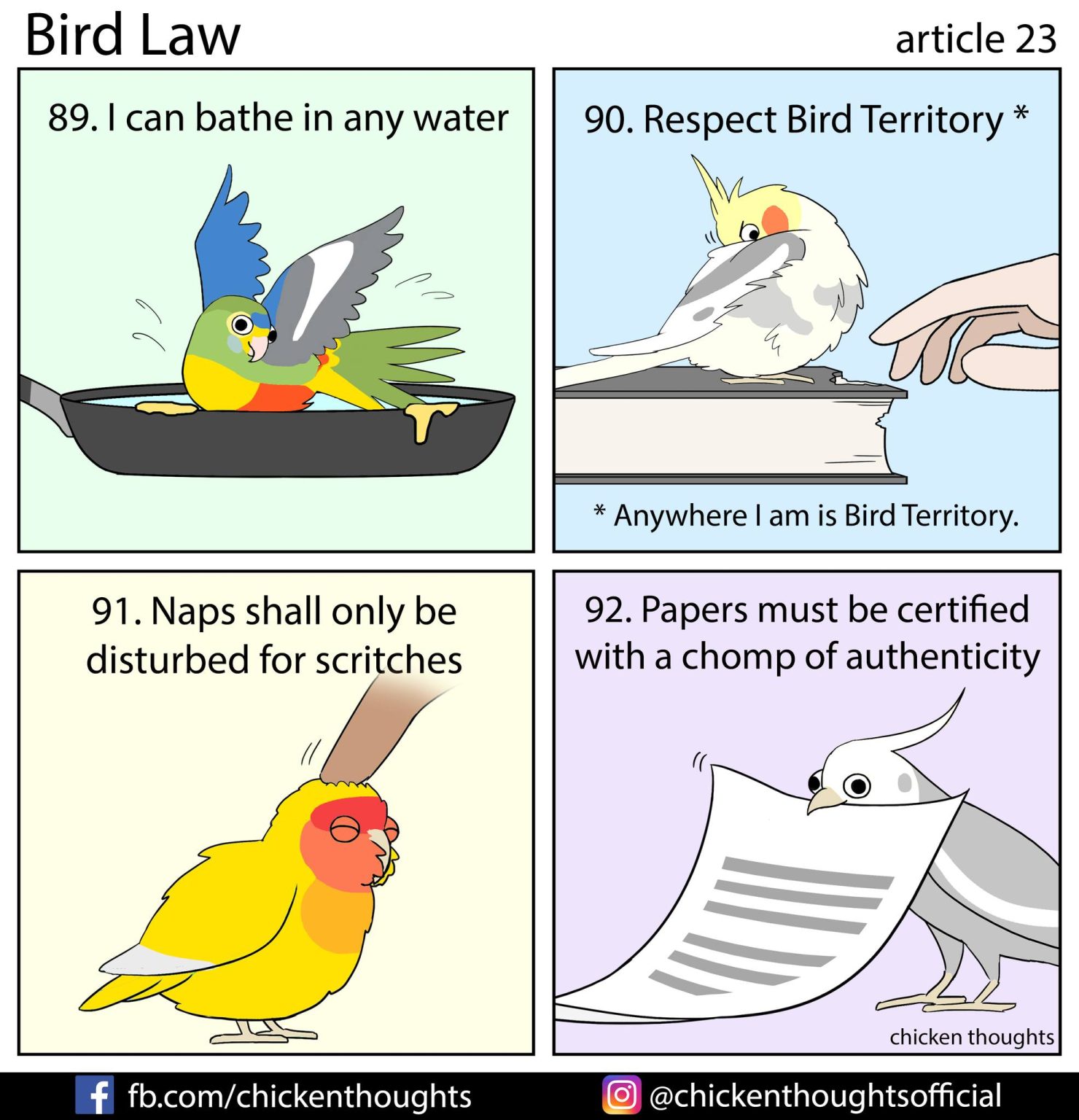 30 Comics About Parrots That Will Make You Fall in Love With Them ...
