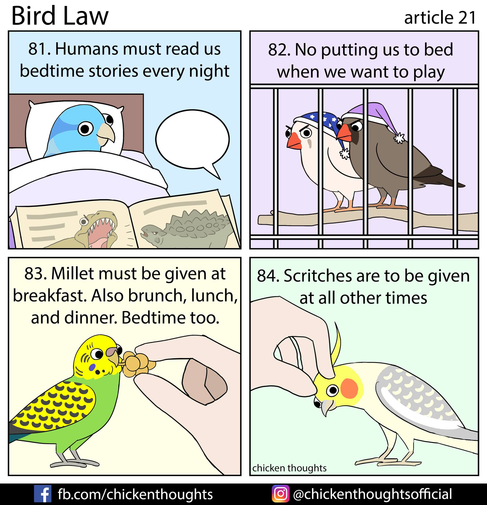 20 Comics About Birds That Will Help To Make Your Day Great (By Chicken ...