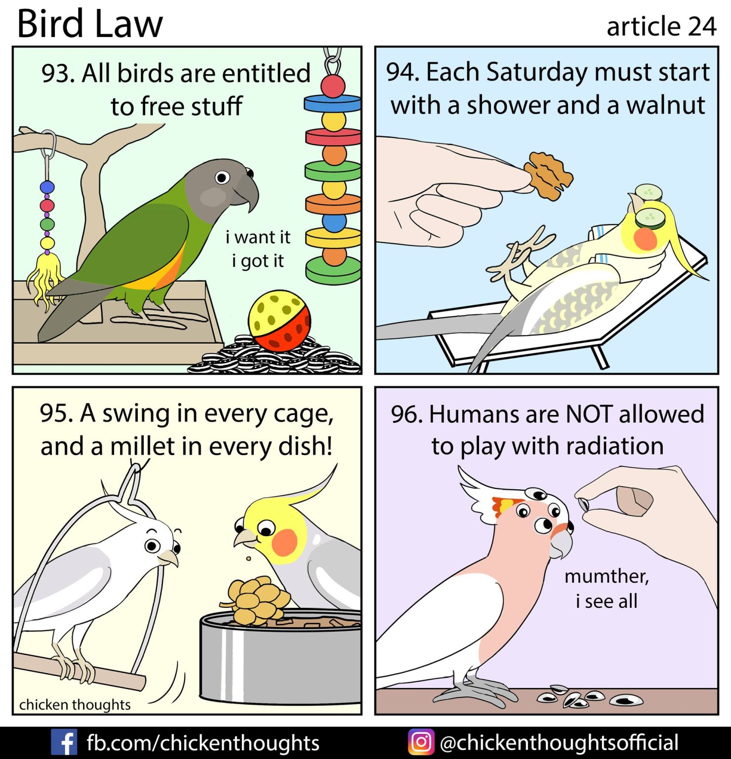 30 Comics About Parrots That Will Make You Fall in Love With Them ...