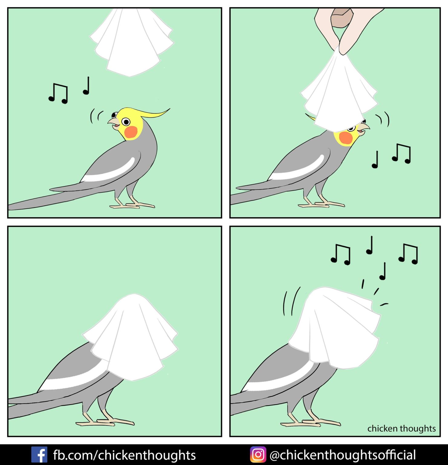 30 Comics About Parrots That Will Make You Fall in Love With Them ...