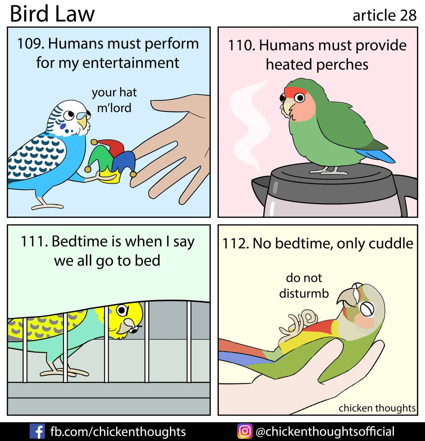 30 Comics About Parrots That Will Make You Fall in Love With Them ...