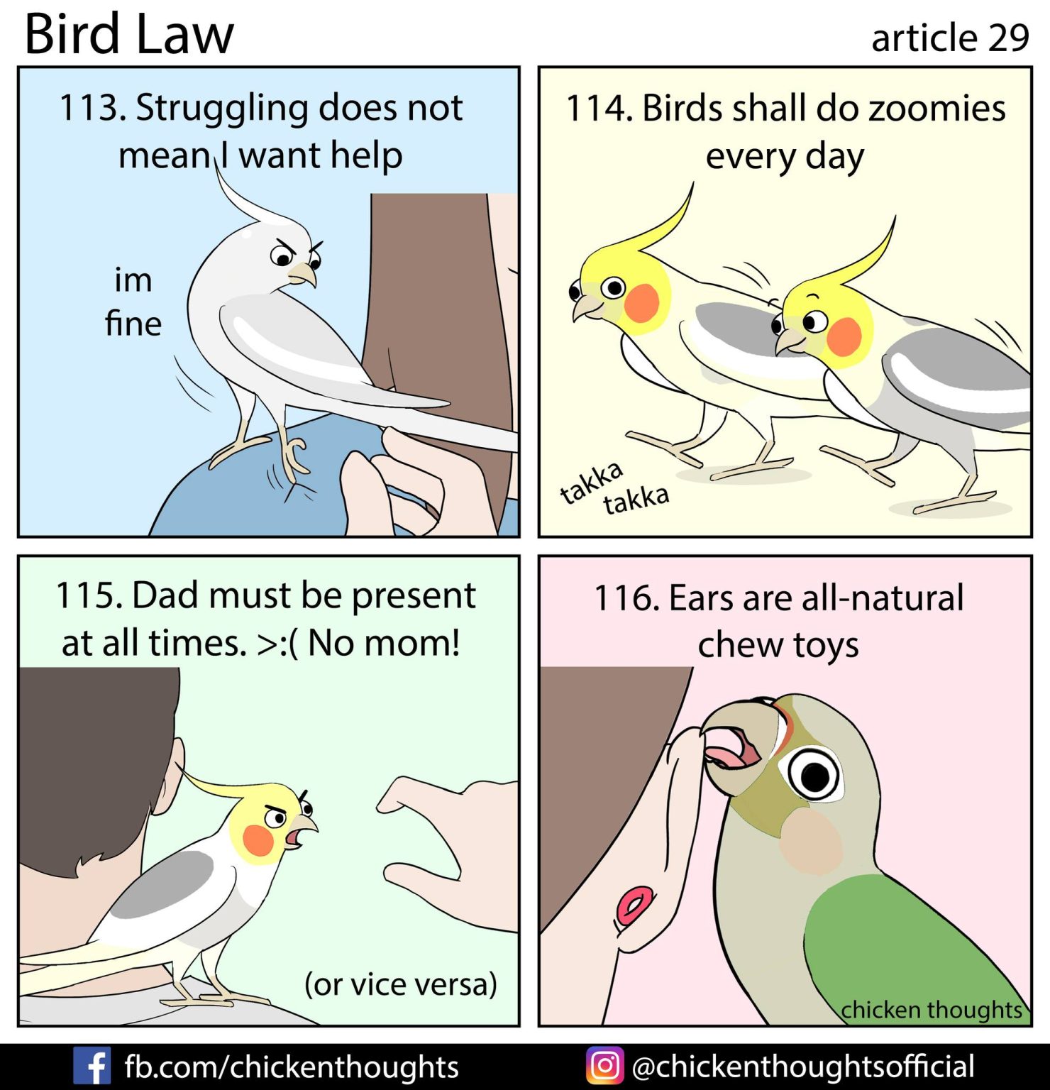 30 Comics About Parrots That Will Make You Fall in Love With Them | Comics To Read