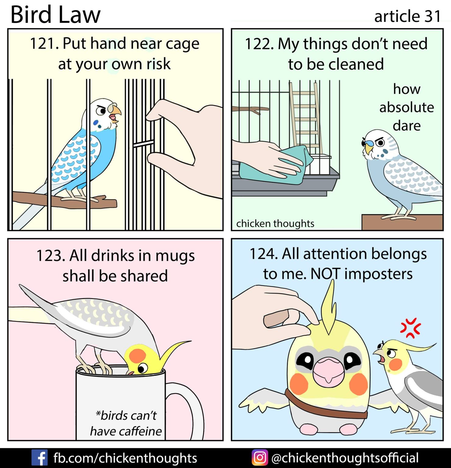 30 Comics About Parrots That Will Make You Fall in Love With Them ...