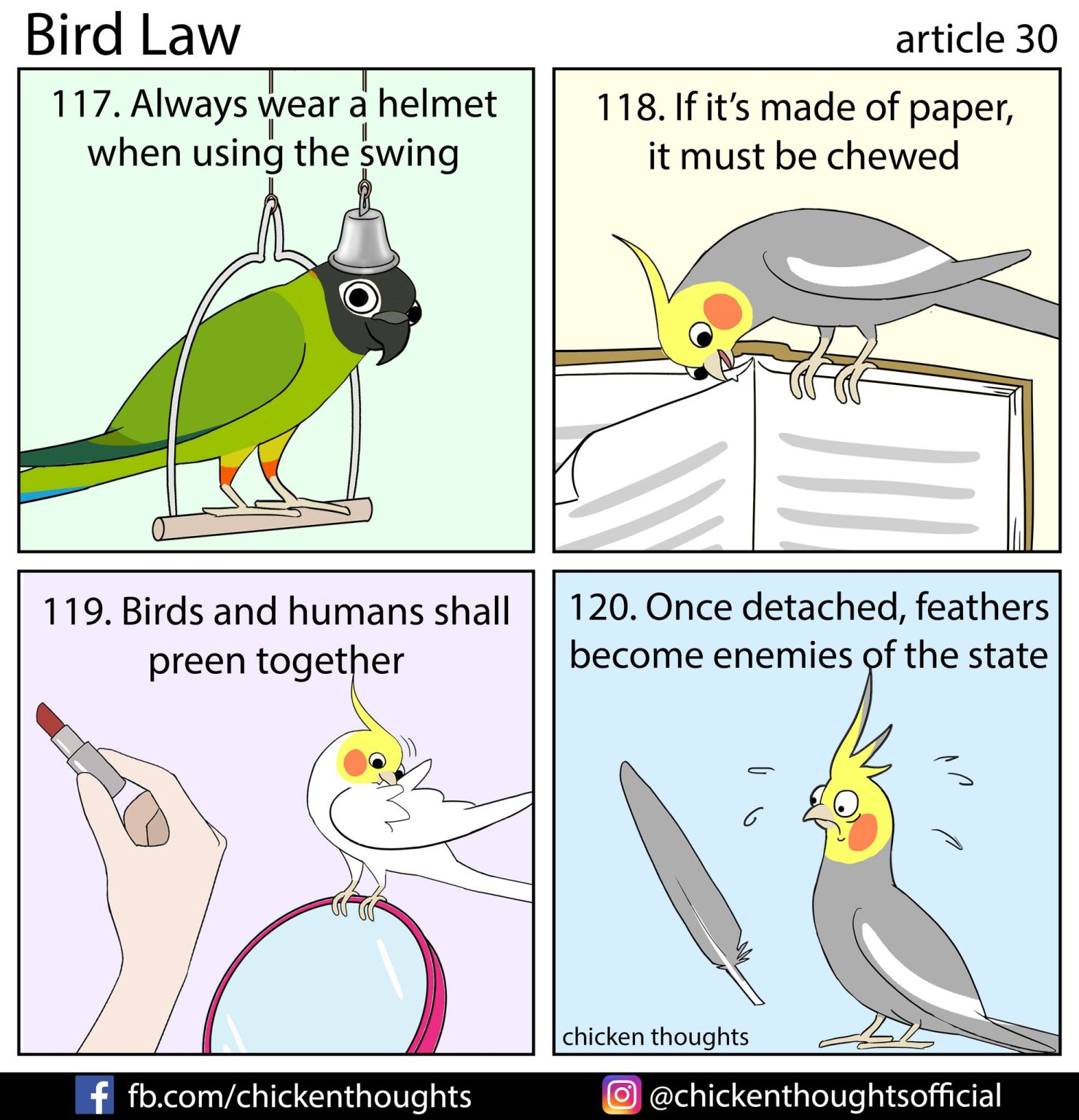 30 Comics About Parrots That Will Make You Fall in Love With Them ...