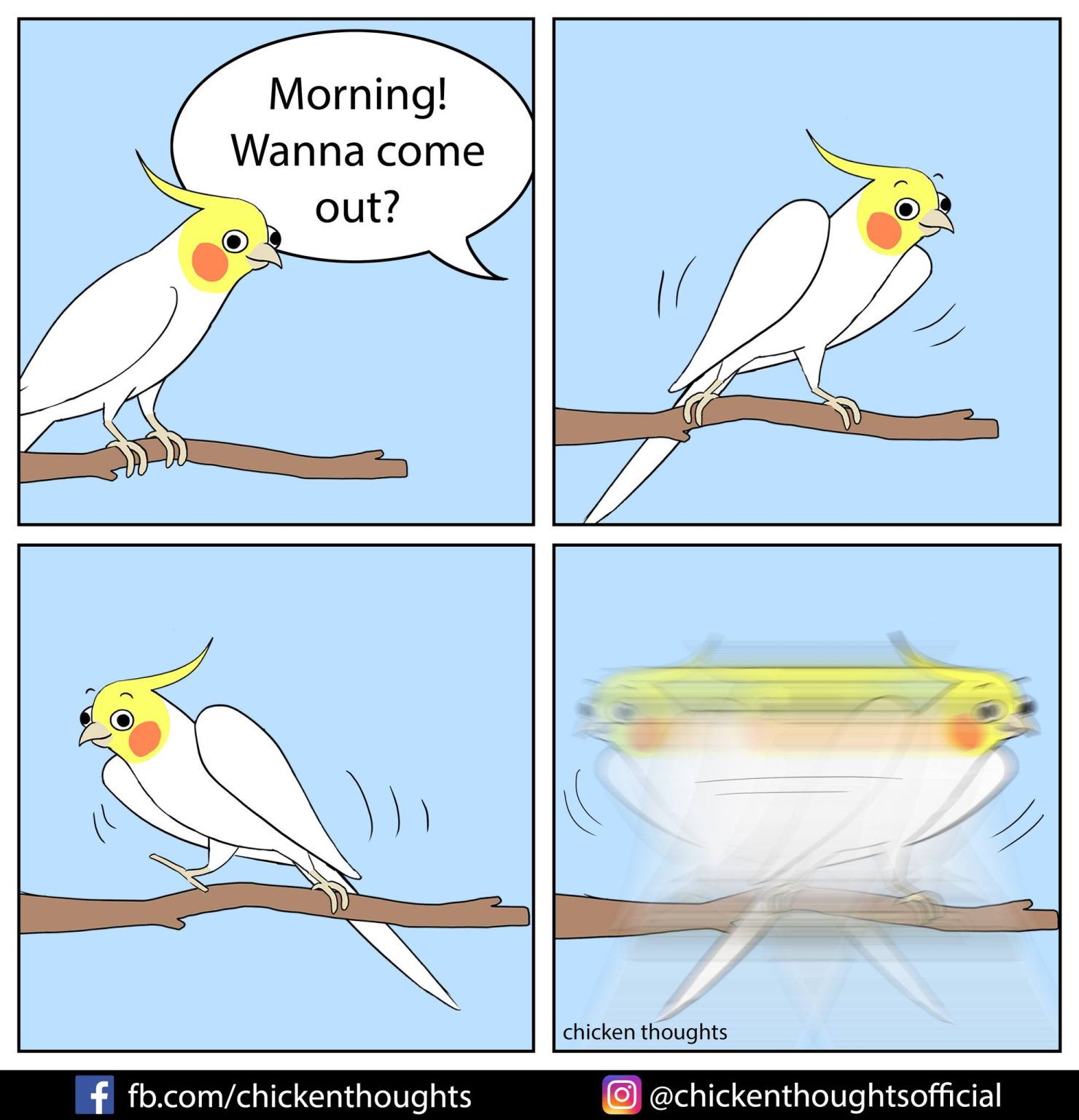 30 Comics About Parrots That Will Make You Fall in Love With Them ...