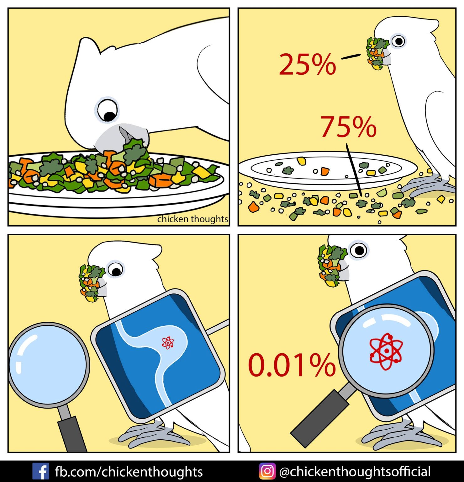 30 Comics About Parrots That Will Make You Fall in Love With Them ...