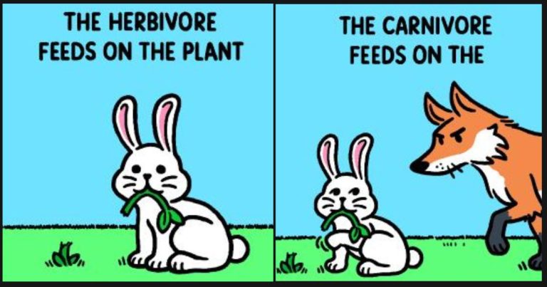 20+ Hilarious Comics with a Surprisingly Dark Ending By Mr. Lowenstein ...