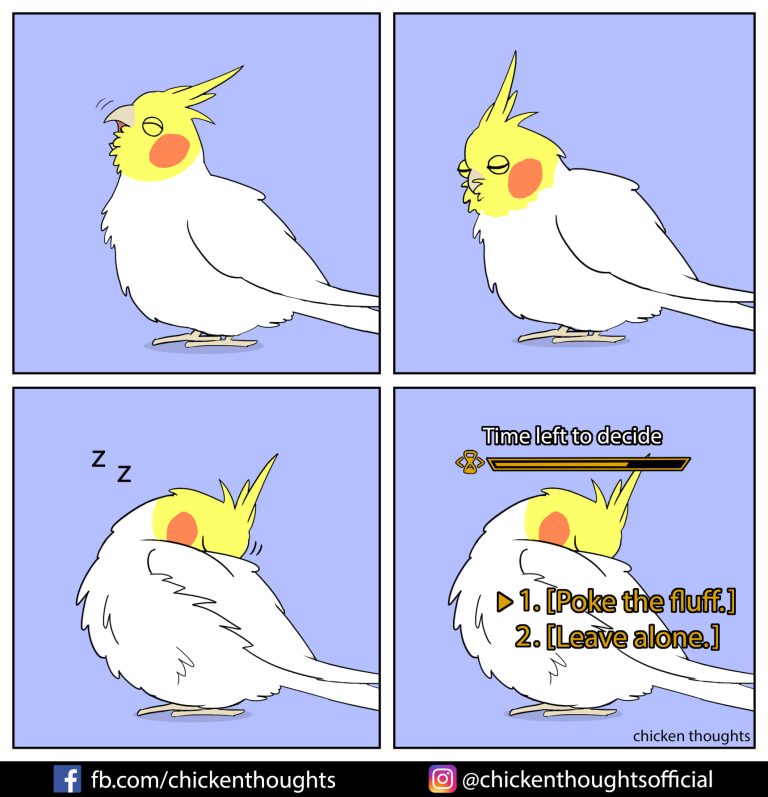 20 Funny Comics About Birds That Will Make You Fall in Love With Them ...