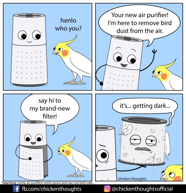 20 Funny Comics About Birds That Will Make You Fall in Love With Them ...