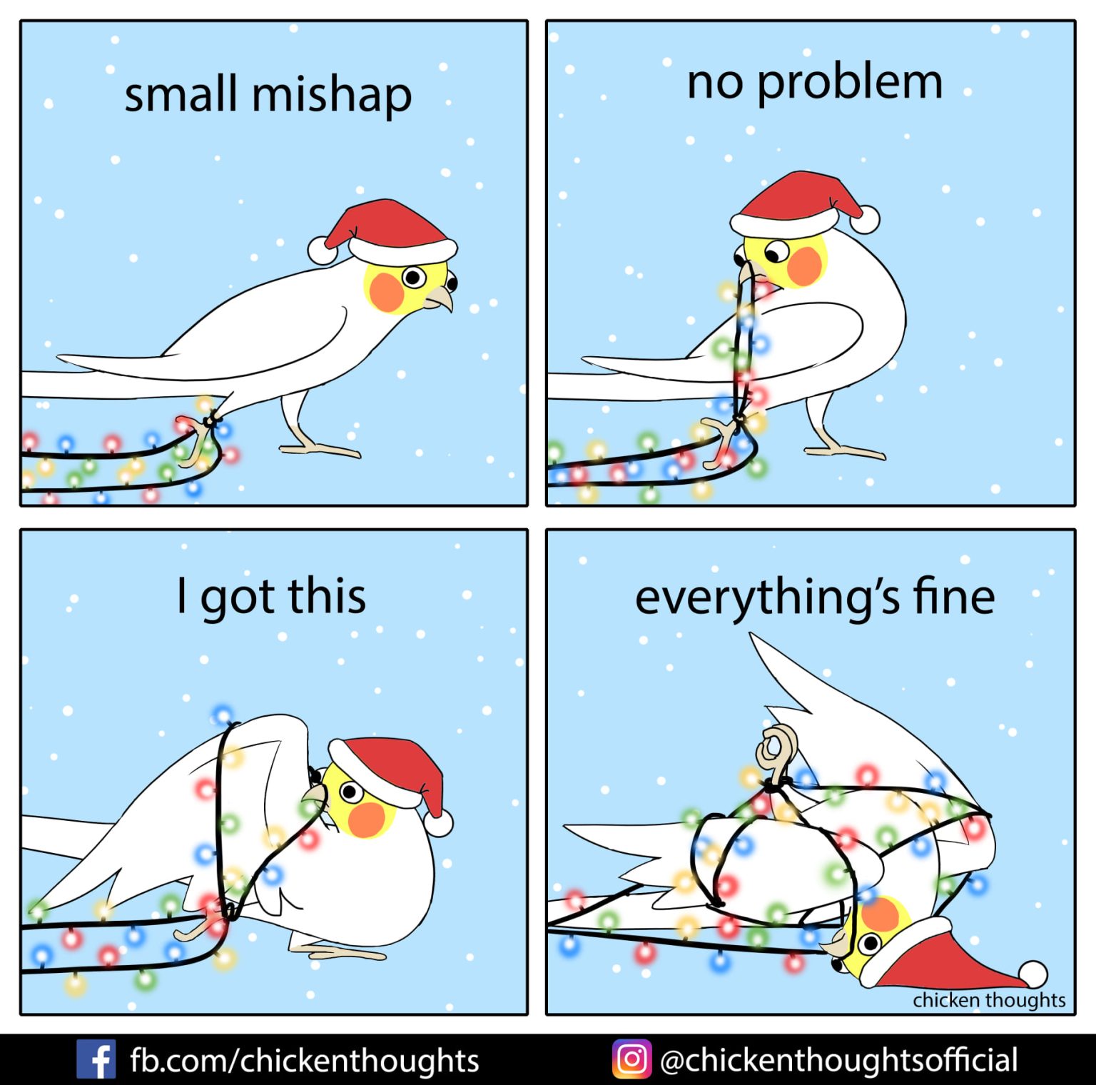 20 Funny Comics About Birds That Will Make You Fall in Love With Them ...