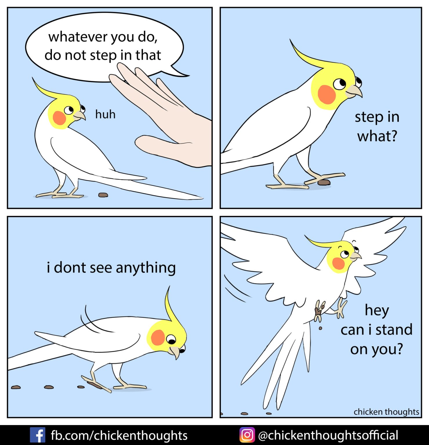 20 Funny Comics About Birds That Will Make You Fall in Love With Them ...
