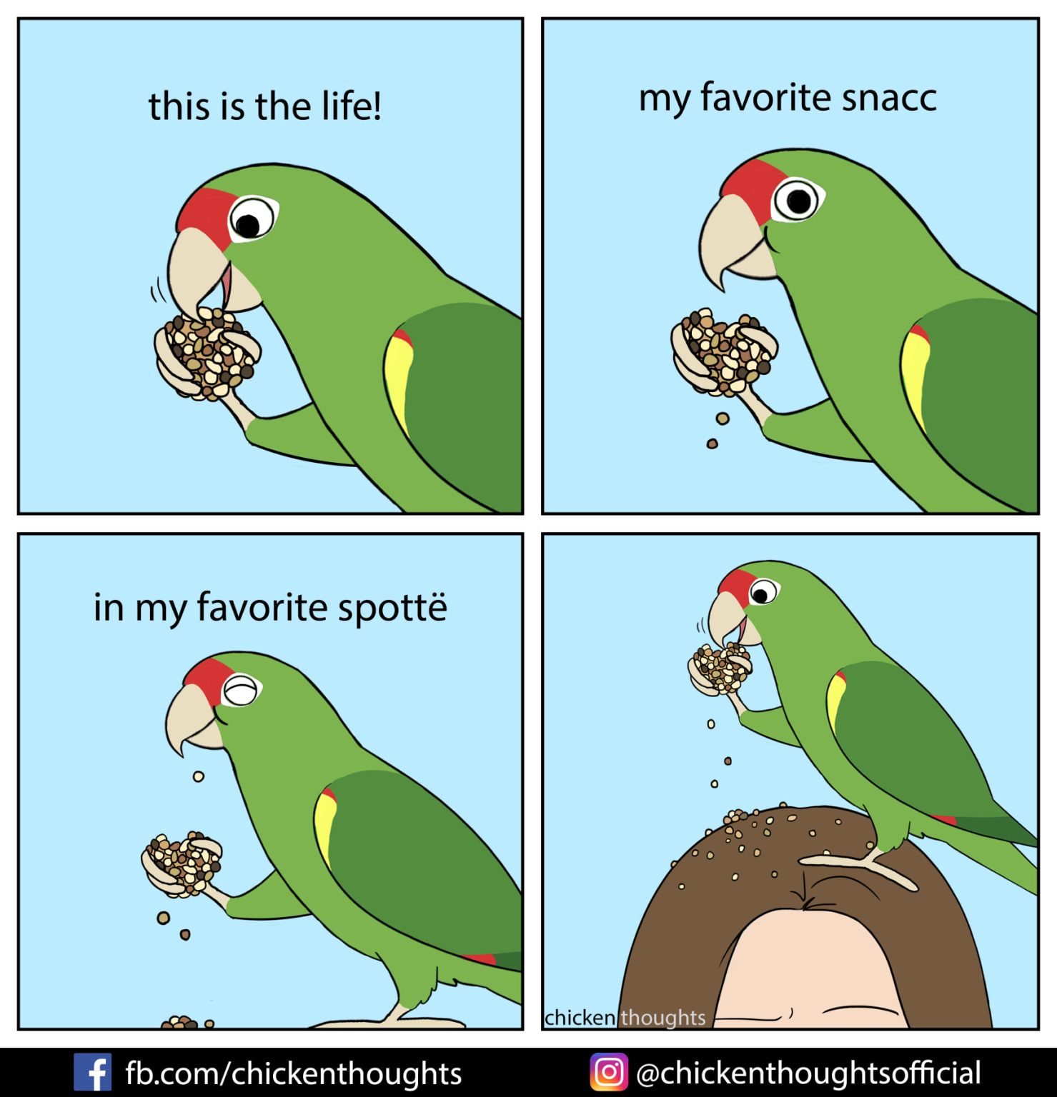 20 Funny Comics About Birds That Will Make You Fall in Love With Them ...