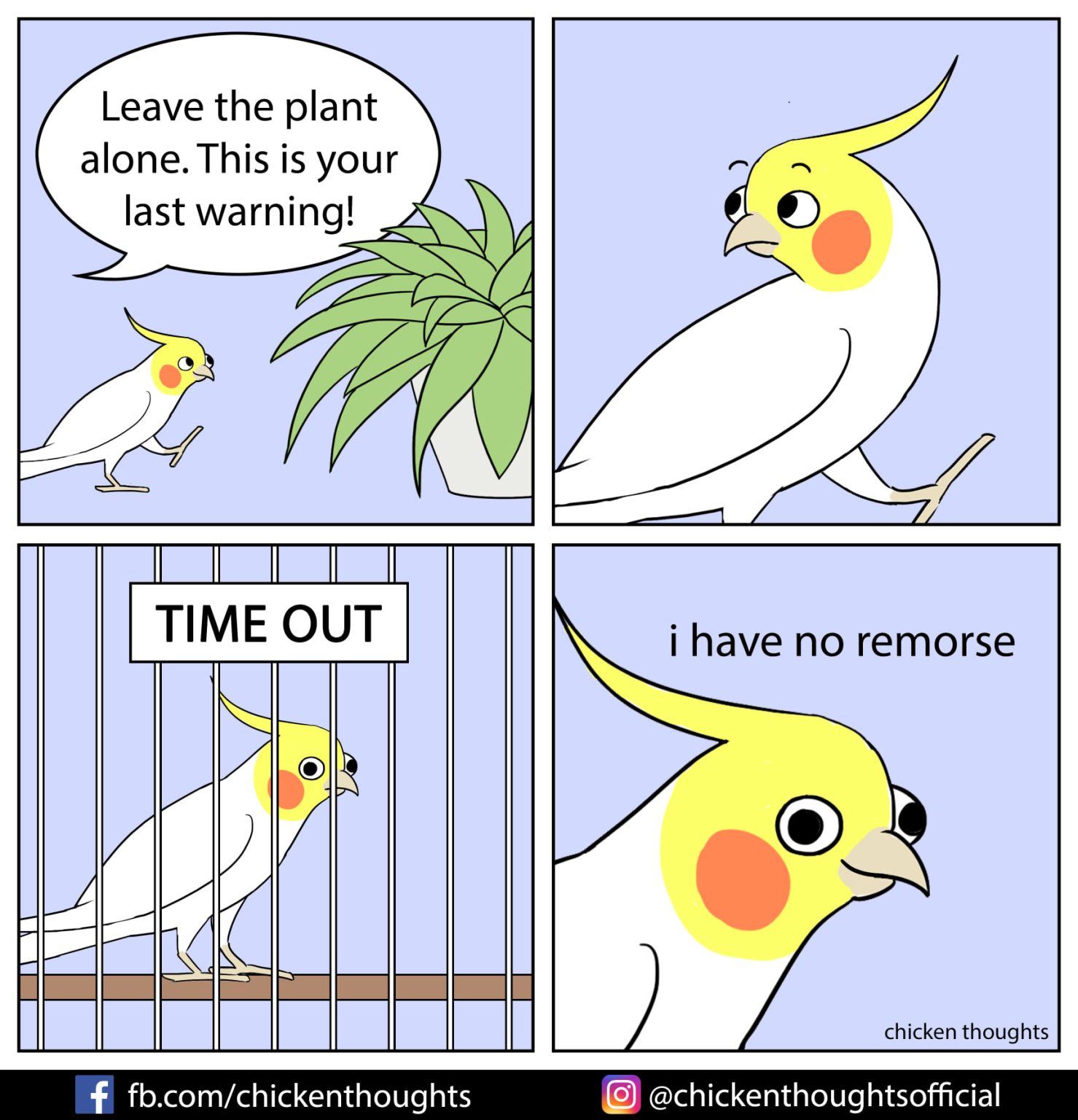 20 Funny Comics About Birds That Will Make You Fall in Love With Them ...
